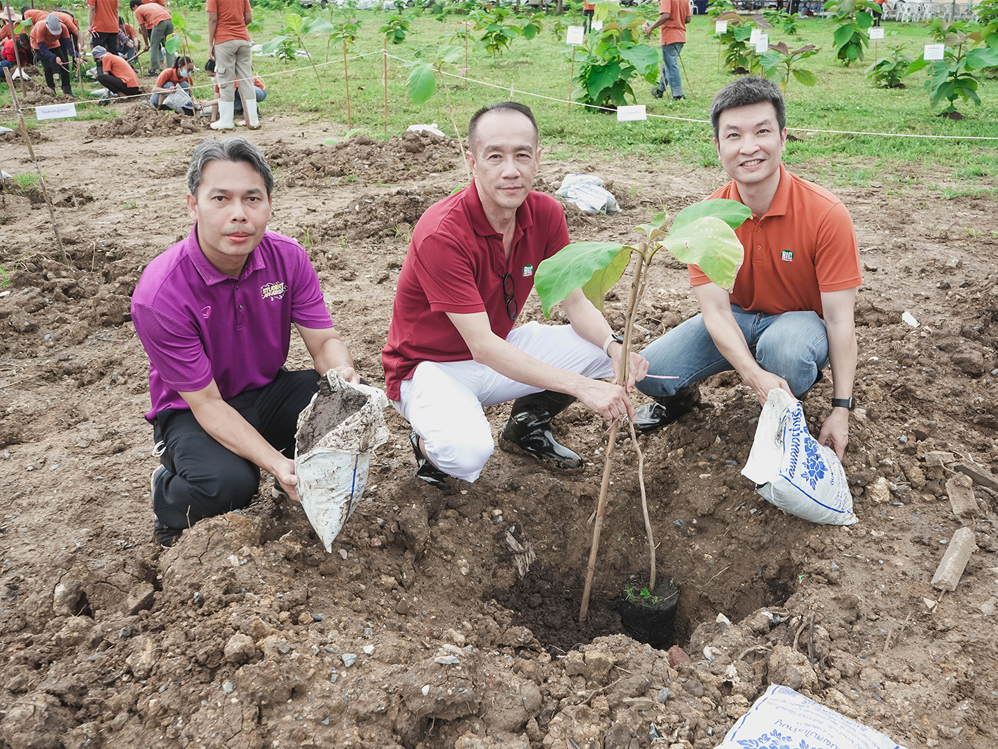 วัตถุดิบอาหารสัตว์ - ผลิตภัณฑ์ | บริษัท เจบีเอฟ จำกัด